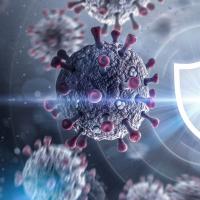 Potensi Terjadinya Cross-Reactive-Immunity Terhadap Individu Yang Belum ...